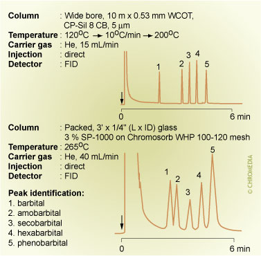 Comparison wide-bore with packed and narrow-bore capillary columns ...